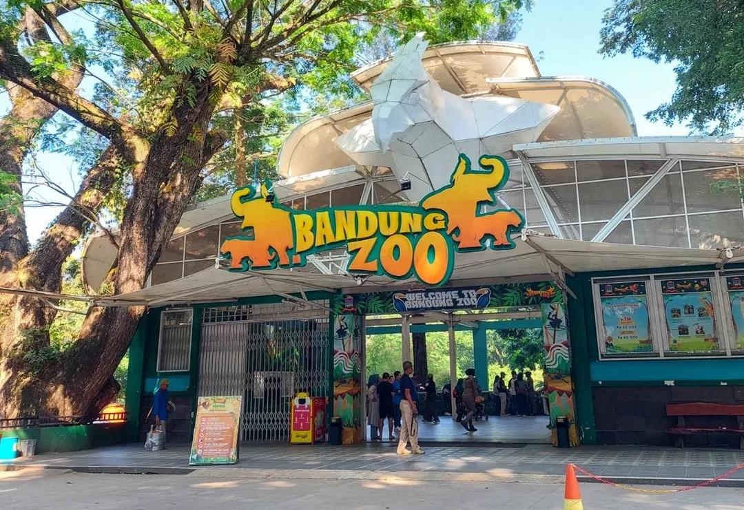 Duh! Wakil Wali Kota Diperiksa Kejari Gegara Kasus Korupsi Bandung Zoo ...